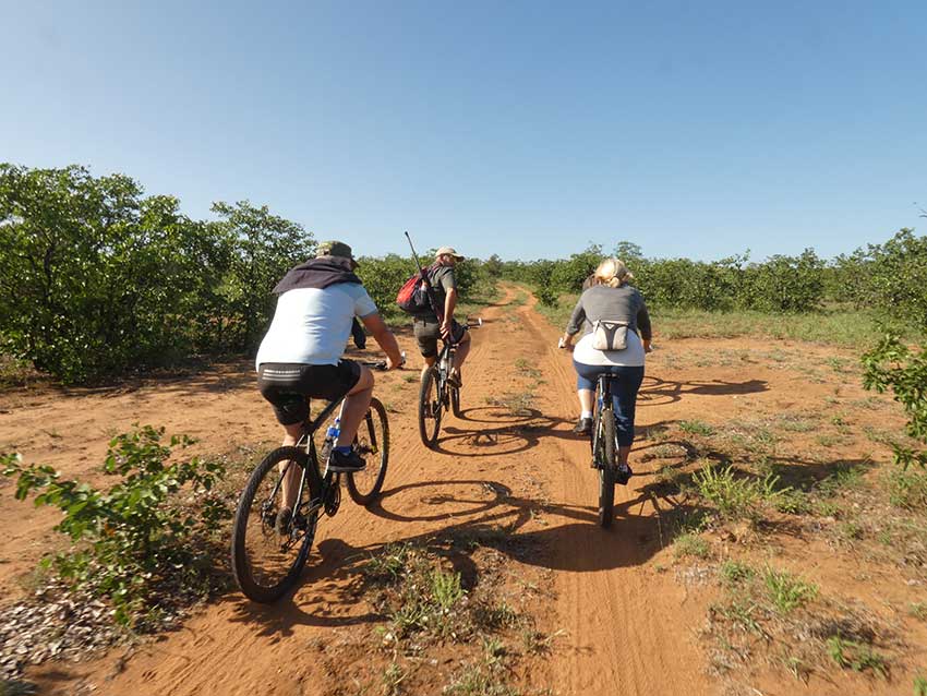 Kruger National Park safari and tour gallery