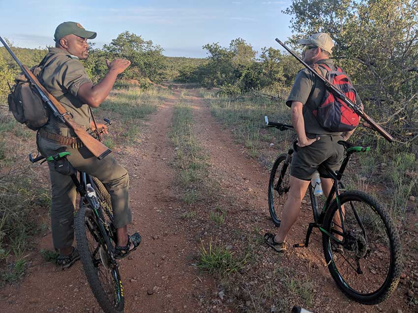 Kruger National Park safari and tour gallery